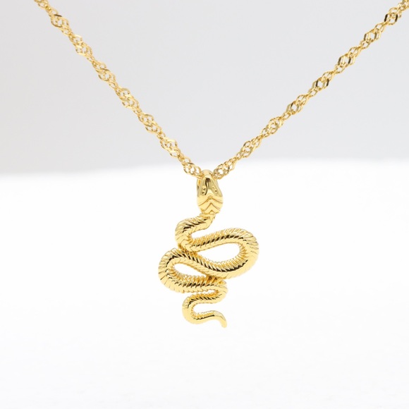 Jewelry | Snake Necklace | Poshmark